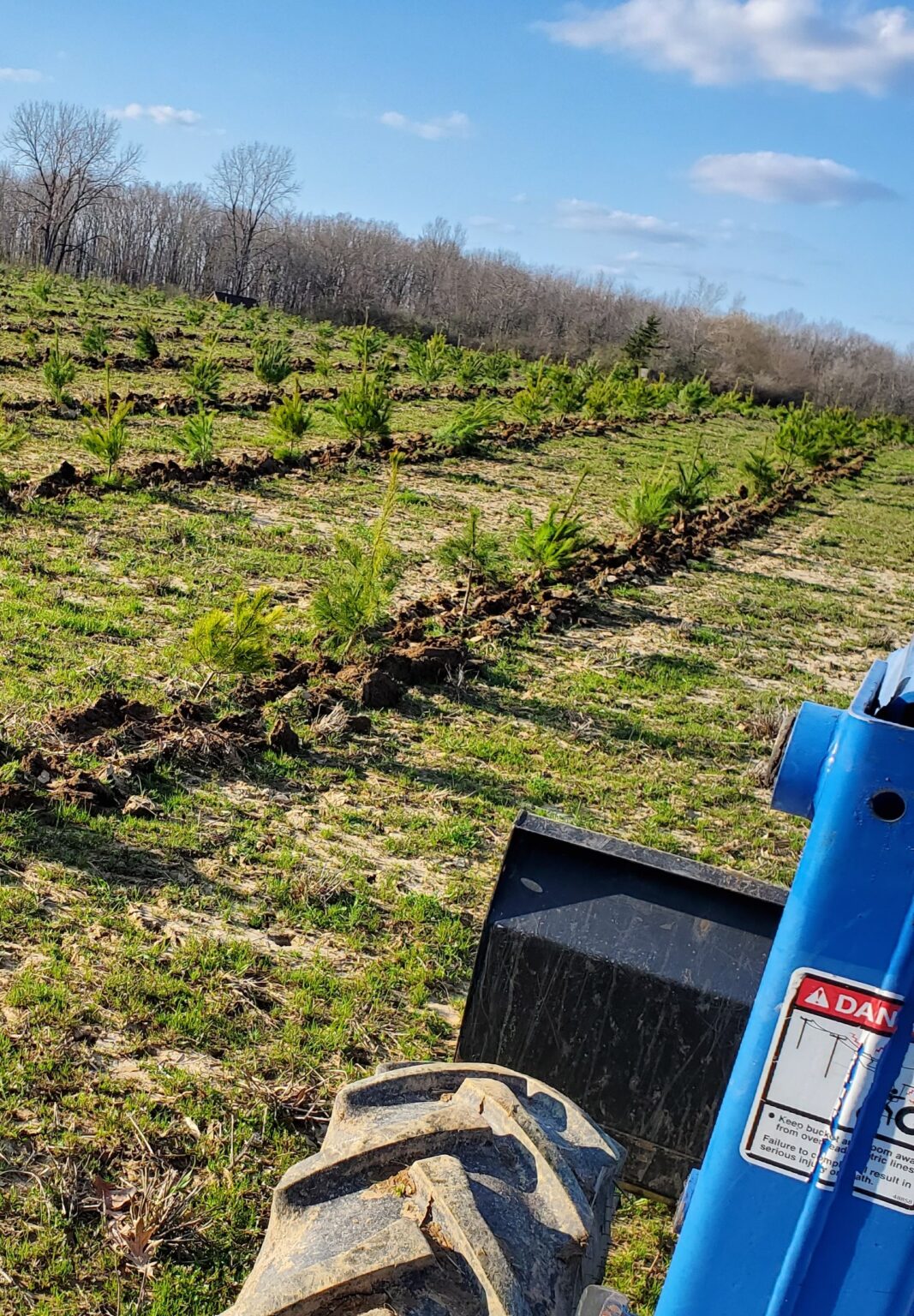 Services – Gingerich Tree Farm