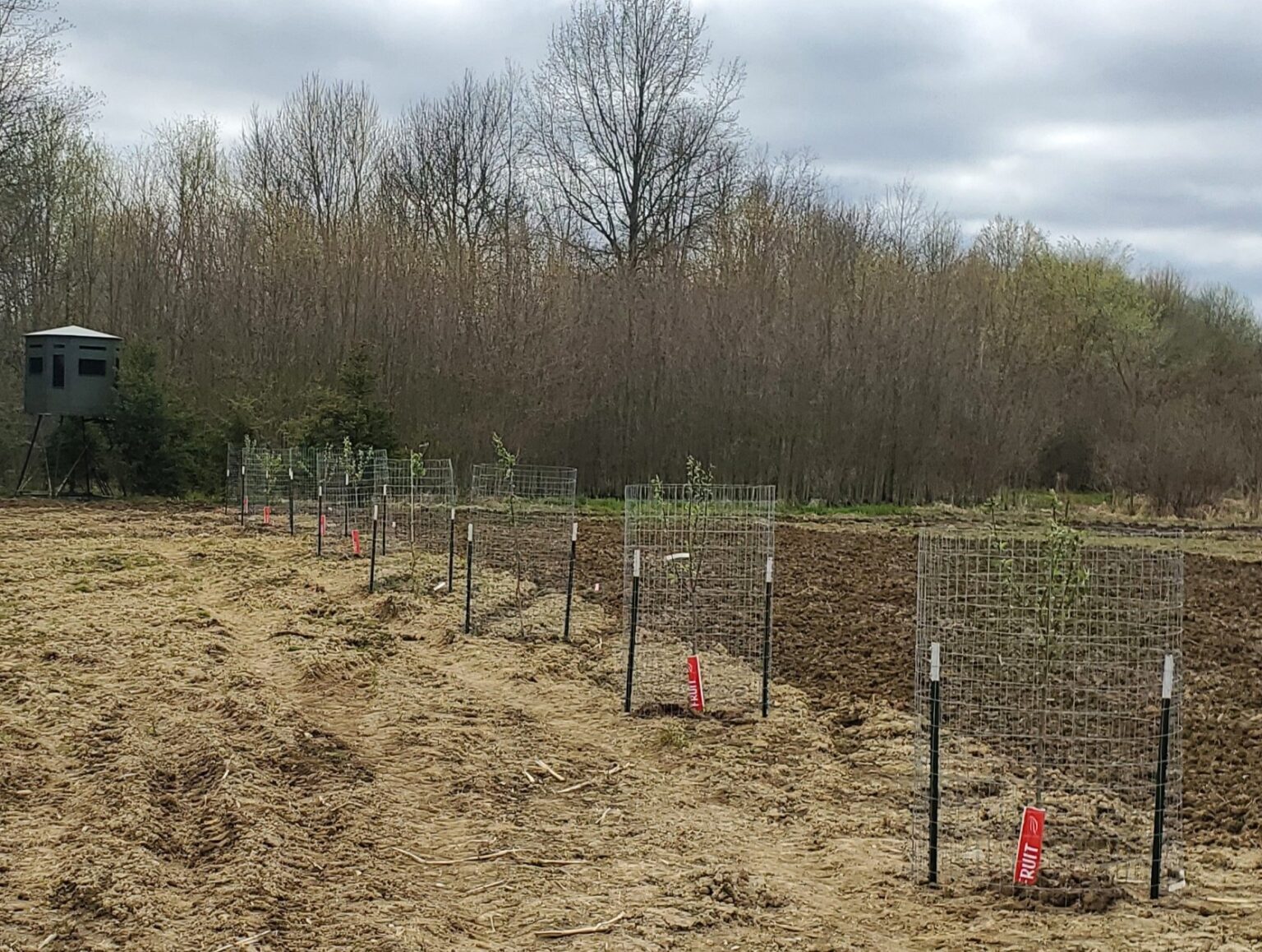 Services – Gingerich Tree Farm