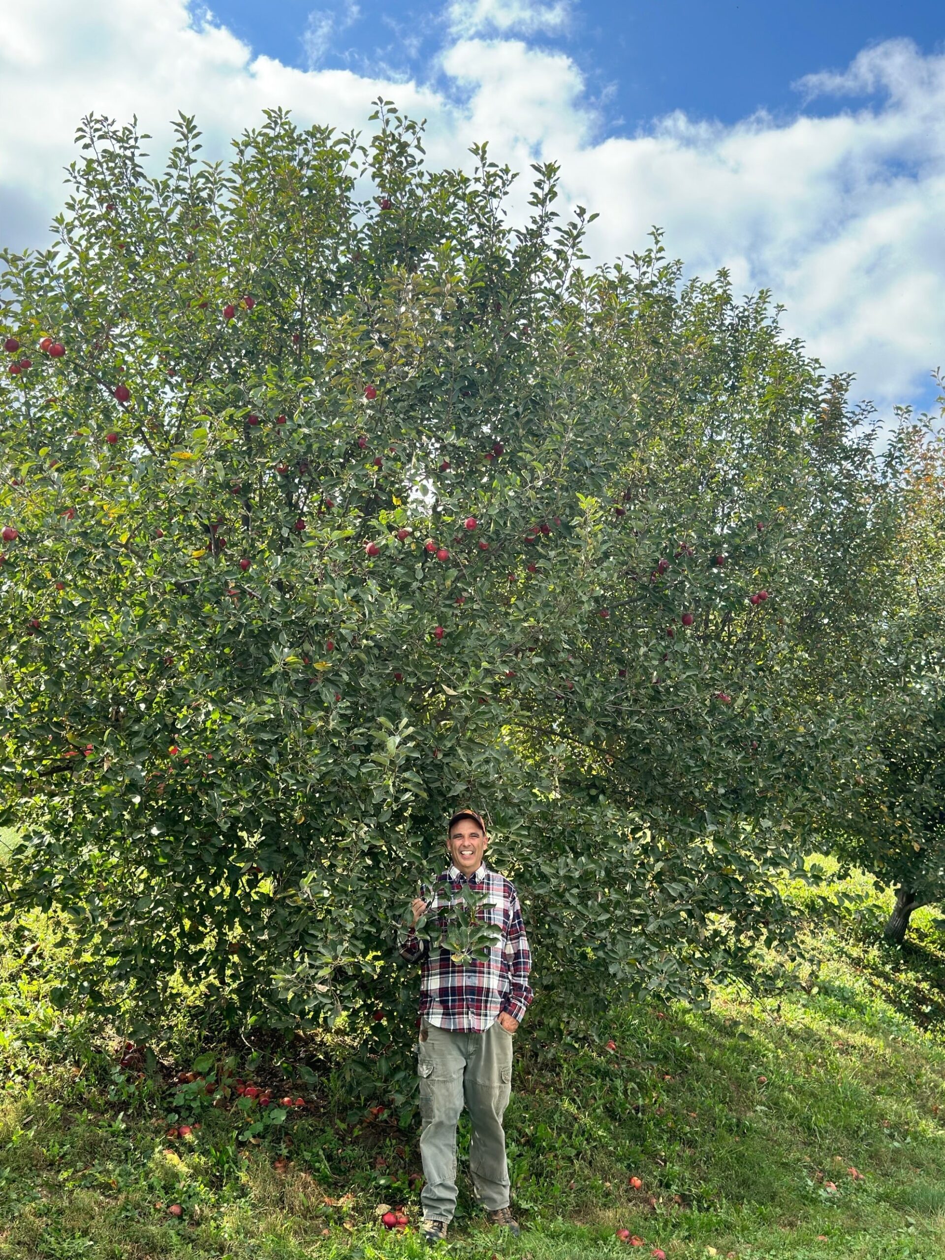 Jehovah’s Choice – Gingerich Tree Farm